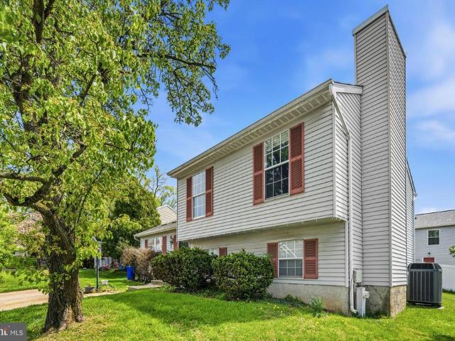 7 Briarleaf Court