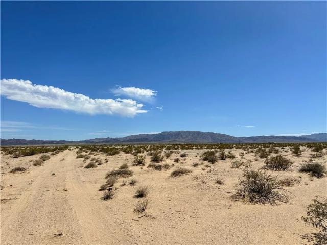7 Cadiz, Twentynine Palms, CA 92277 | MLS #JT26019
