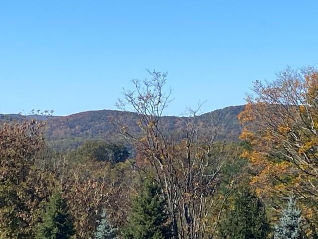 7 Candace Ct, New Milford, CT 06776 | Compass