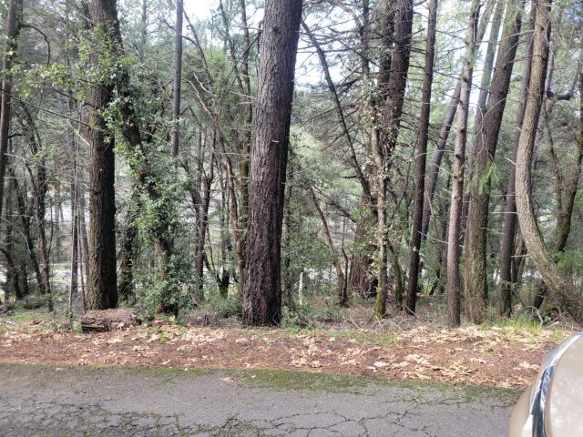 7 Canyon Way, Colfax, CA 95713 | MLS #225033