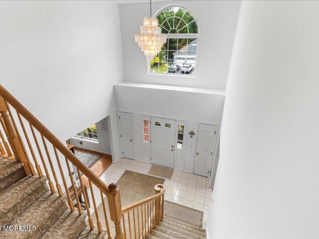 7 Cecilia Court