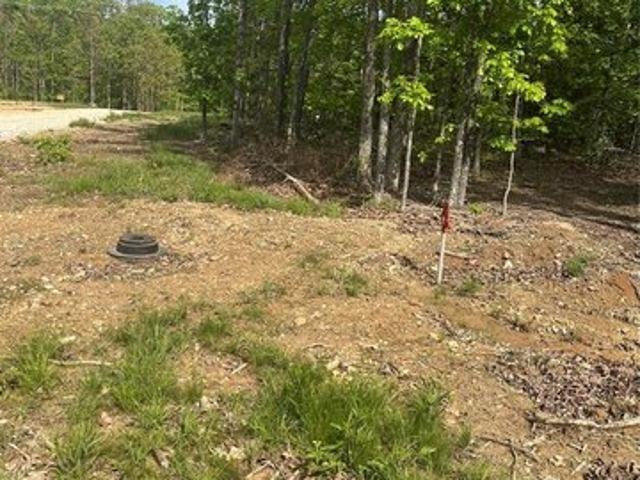 7 County Road 4180, Salem, MO 65560