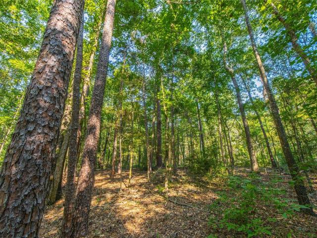 7 County Road 4221, Frankston, TX 75763 | MLS #20707