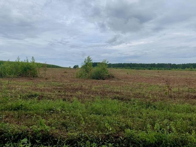 7 County Road 508, Fort Payne, AL 35968