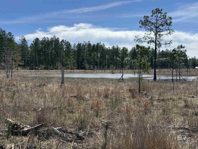 7 County Road 64 Lot 7, Robertsdale, AL 36567