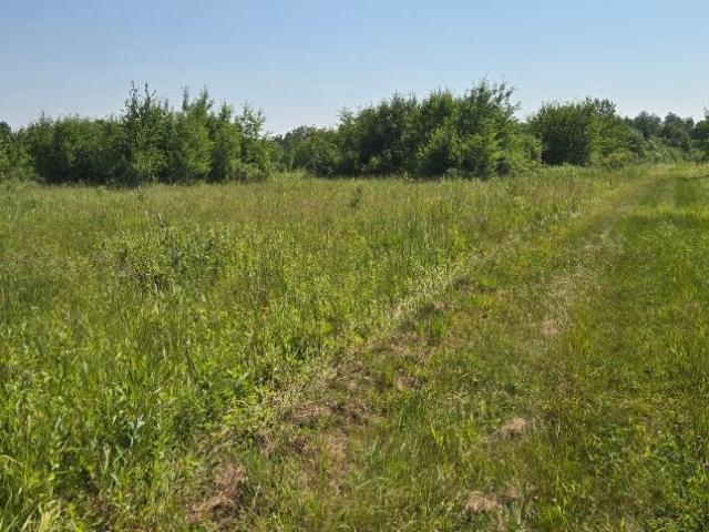 TBD County Road 7