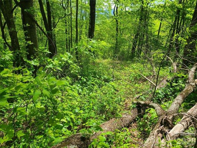 7 Covecrest Dr Unit 7, Maggie Valley, NC 28751