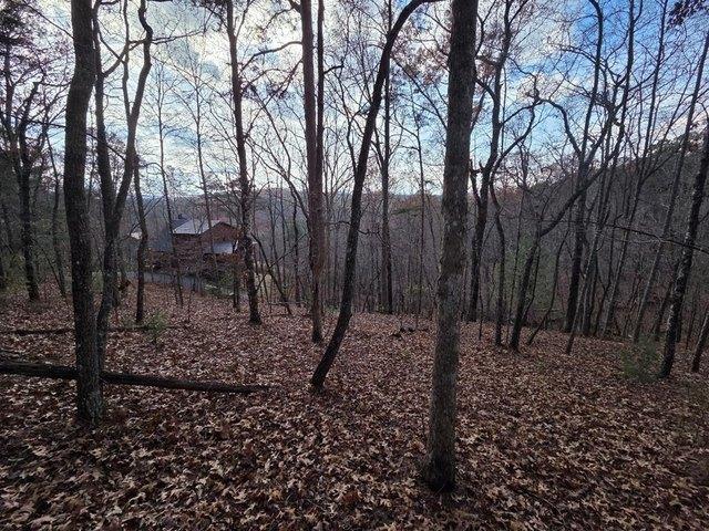 5 Fish Camp Way Lot 5, Mineral Bluff, GA 30559