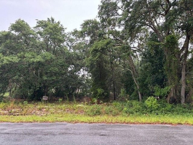 7 Fisher Way Dr, Ocklawaha, FL 32179