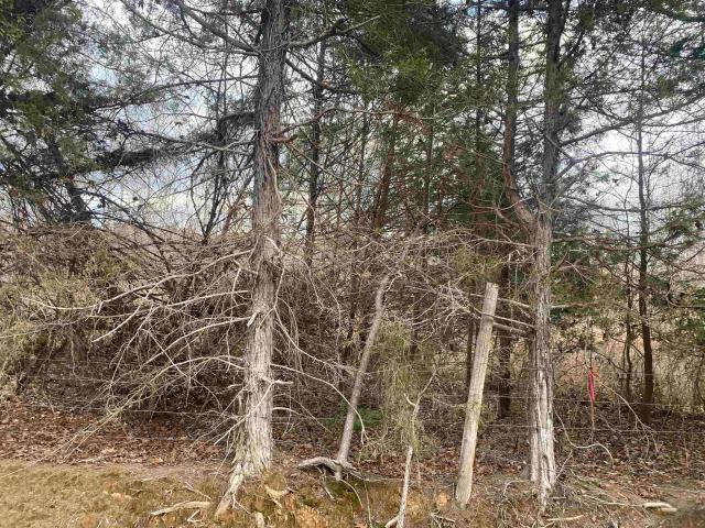 7 Hughey Talley Rd, Selmer, TN 38375 | MLS #10211