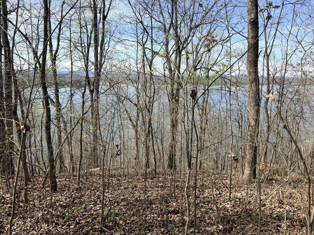 7 Johnson Ln, Ten Mile, TN 37880