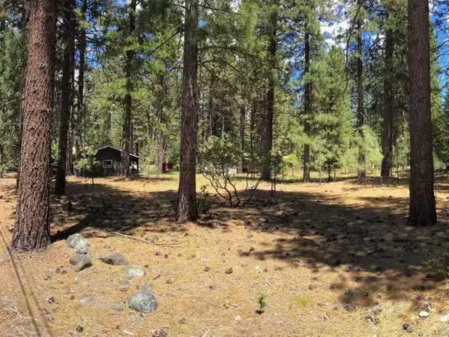 7 Korominu Trail, Graeagle, CA 96103 645412066