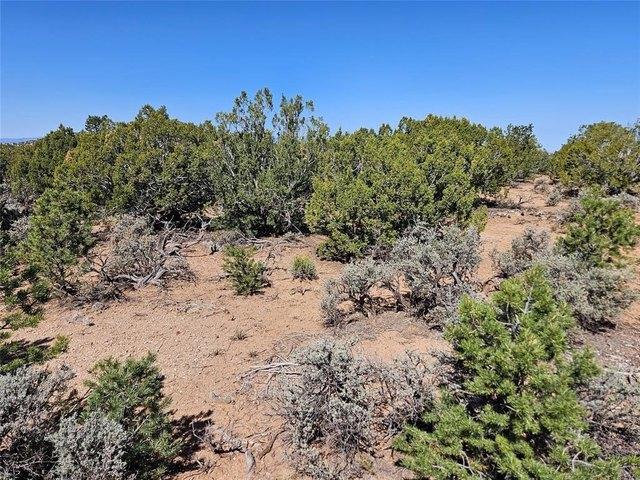 7 Laguna Vista Dr, Chimayo, NM 87522