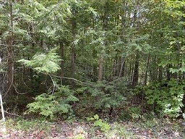 7 Little John Dr, Becket, MA 01223
