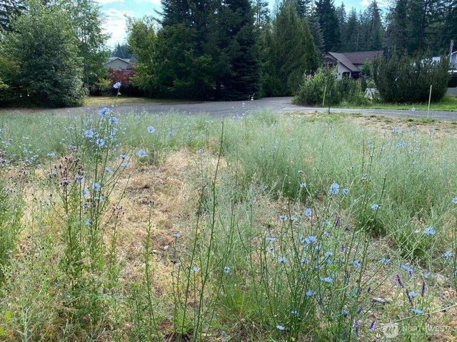 7 Lot Kuhuku Ct Lot 7, Cle Elum, WA 98922