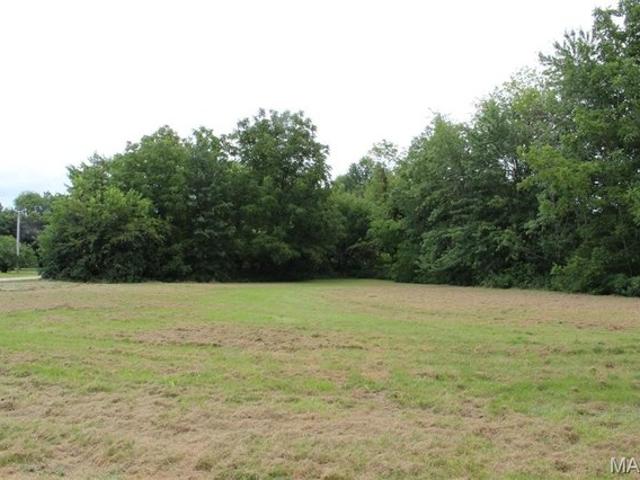 7 Lots Pine E Pine Street, Bellflower, MO 63333