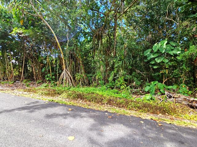 7 Puni Kahakai St W, Pahoa, HI 96778 | MLS #724736
