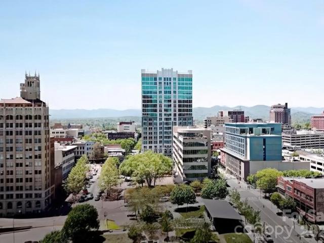 7 Patton Ave Ste 1103, Asheville, NC 28801