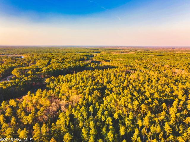 7 Peach Orchard Rd, Wagram, NC 28396 | MLS #100535