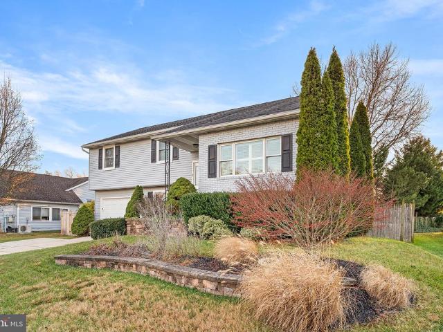 7 Pelham Road