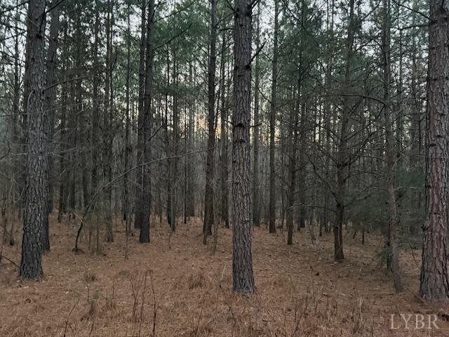 7 Piney Mountain Rd, Appomattox, VA 24522 | MLS #364804
