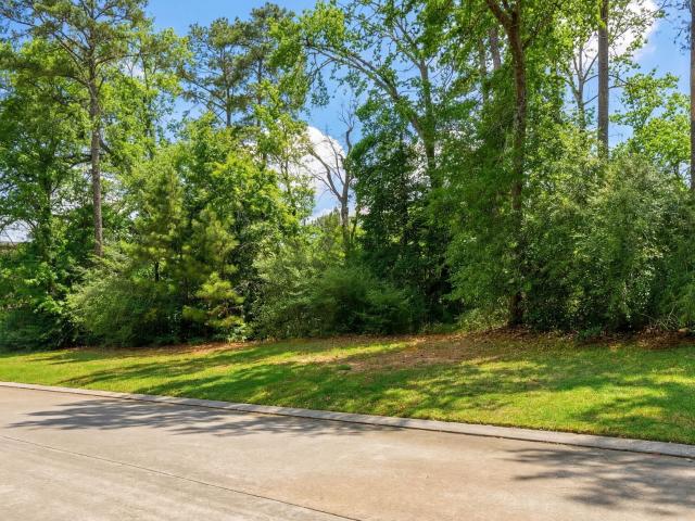 7 Primm Valley Ct, The Woodlands, TX 77389 | MLS #98120