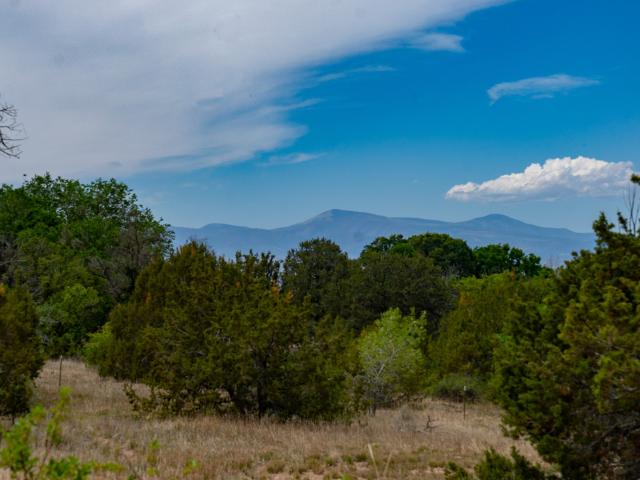 7 Rancho De Ortiz