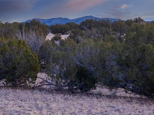 7 Rancho De Shama A and B