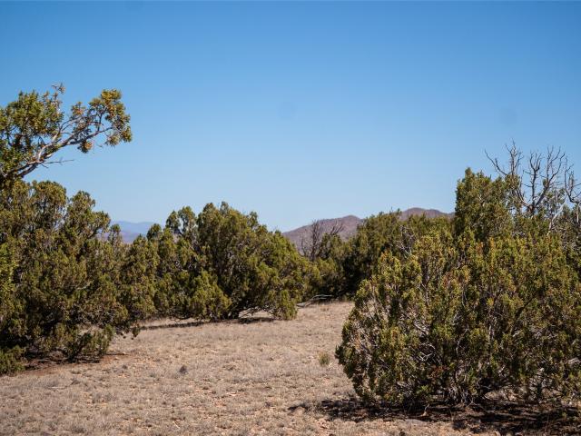 7 Rancho De Shama A