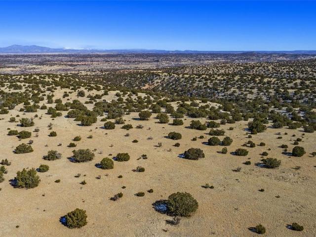 7 Rancho De Shama B