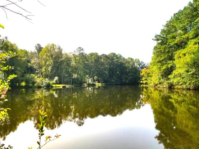 7 Row Boat Lane