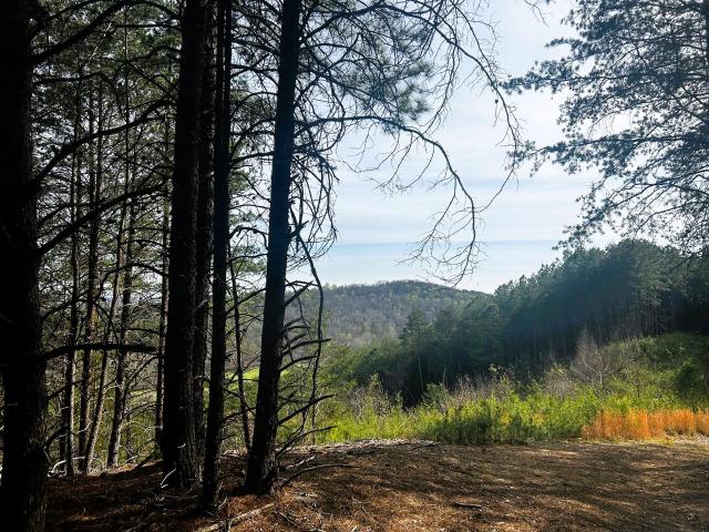 7 SW Owl Hollow Rd, McDonald, TN 37353 | MLS #1531