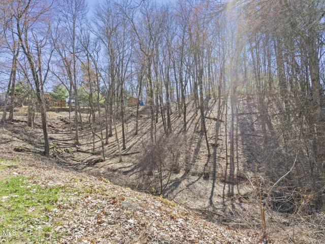 7 Saddle Hill Road