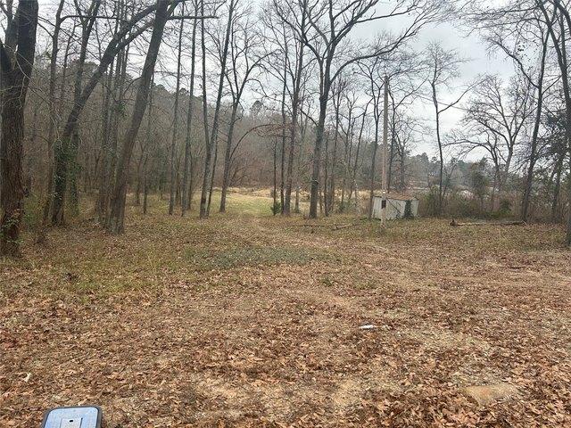 7 Sandy Lk, Scroggins, TX 75480