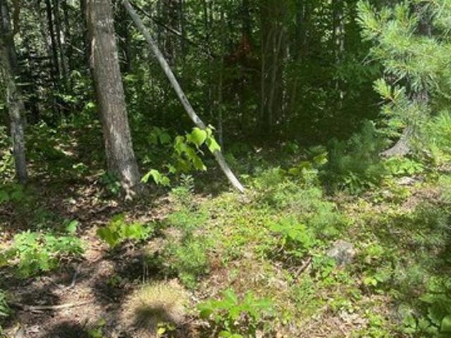 7 Shackletons Way, Boothbay, ME 04537