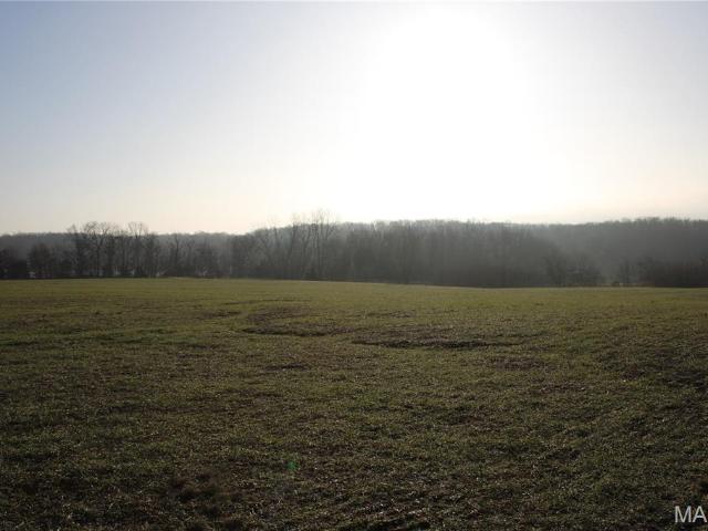 7 Sharps Pl, Perry, MO 63462 | MLS #25082