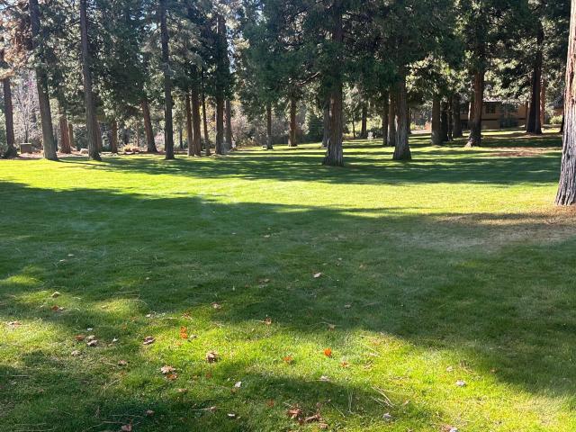 7 Silver Pine Dr, Lake Almanor, CA 96137 | MLS #20251