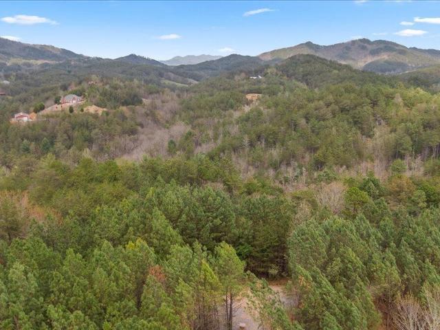 7 Skyline Drive