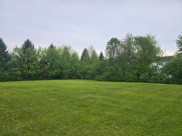 7 Springbrook Lane