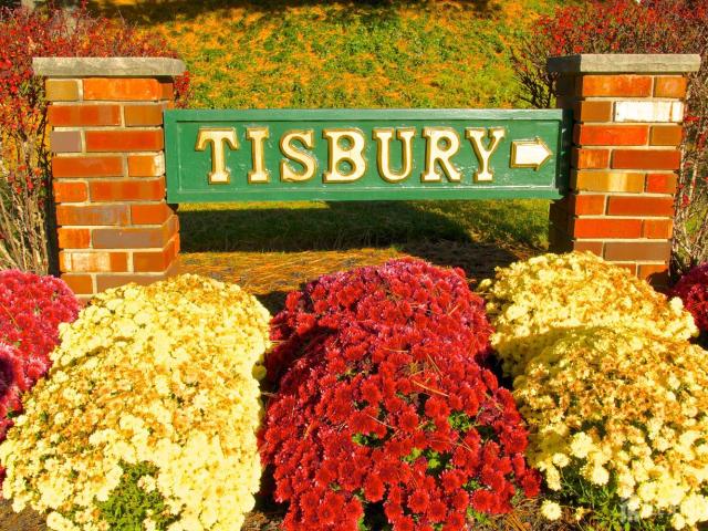 7 Tisbury Court