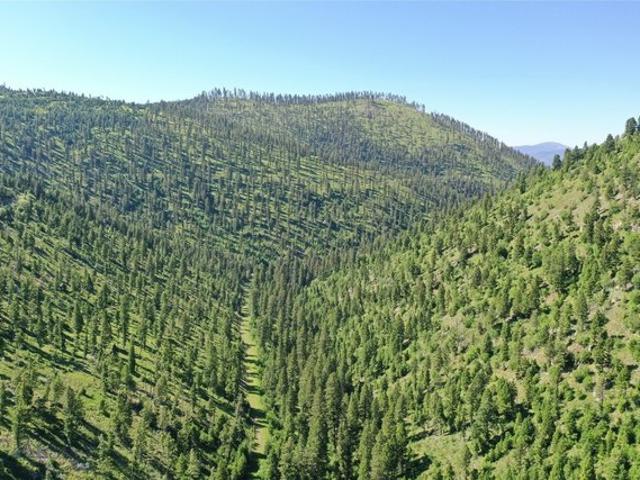 7 Tract, Drummond, MT 59832