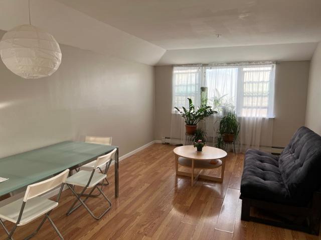 7 Week Sublet in NYC in Queer Safe CoOp