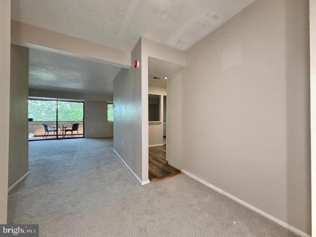 7 Windblown Court # 202