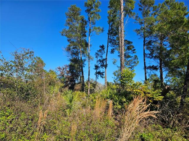7 Wood Arbor Ln, Palm Coast, FL 32164 | MLS #FC316067 | Compass