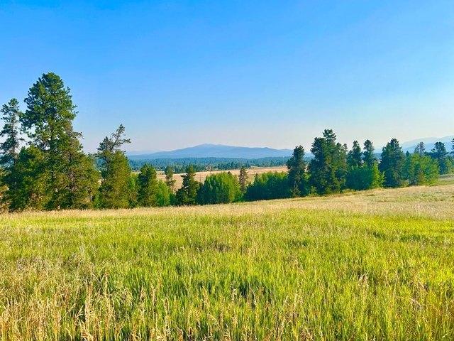 7 Wood Run Trl Lot 13, McCall, ID 83638
