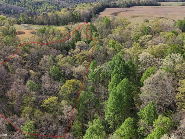 7.08ac Hollow Creek Lane