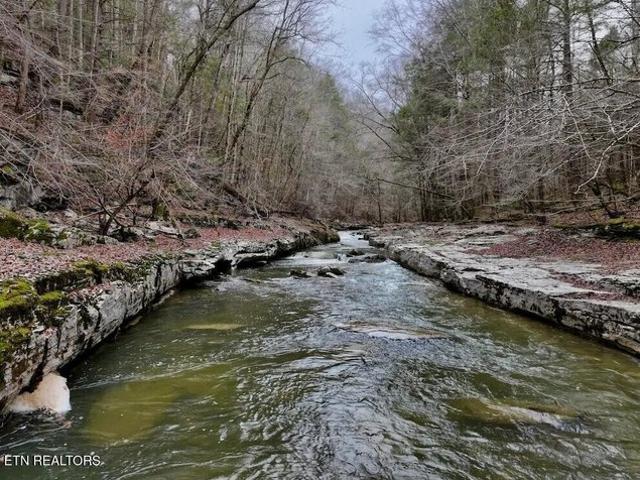 7 08AC Hollow Creek Ln, Clarkrange, TN 38553