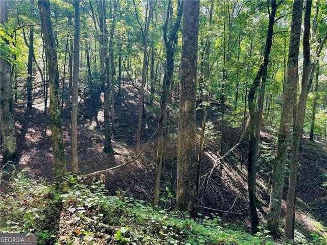 7.123 Acres Halls Mill Rd, Dahlonega, GA 30533
