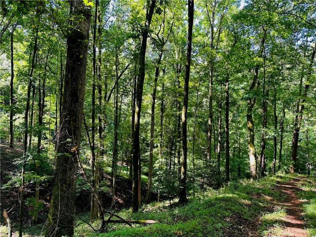 7.123 Acres Halls Mill Road
