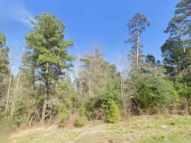7 23 83 Sky Oak Ln, Huntsville, TX 77340